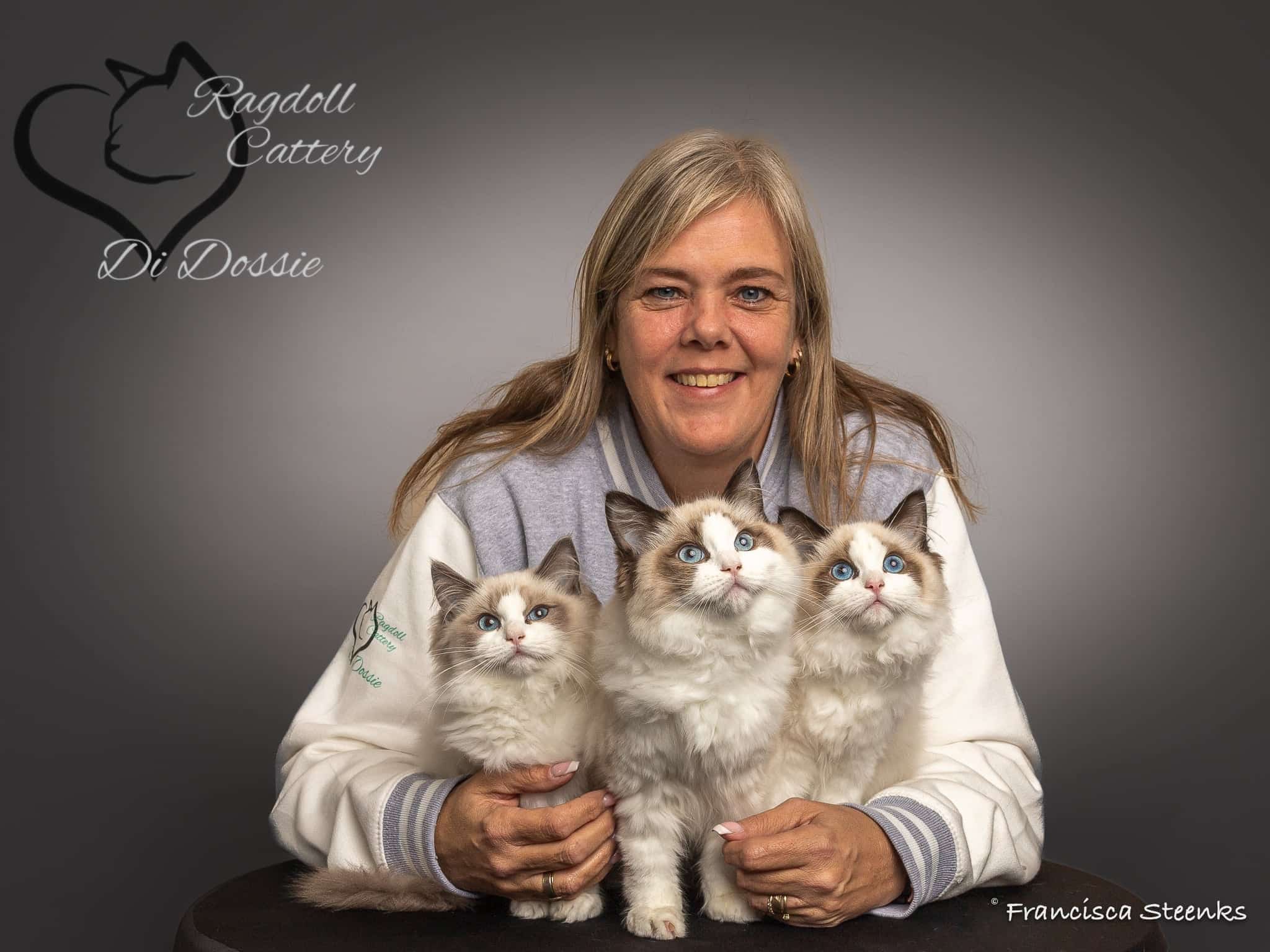 Ragdoll Cattery Di Dossie - voor lieve, gezonde en gesocialiseerde ...